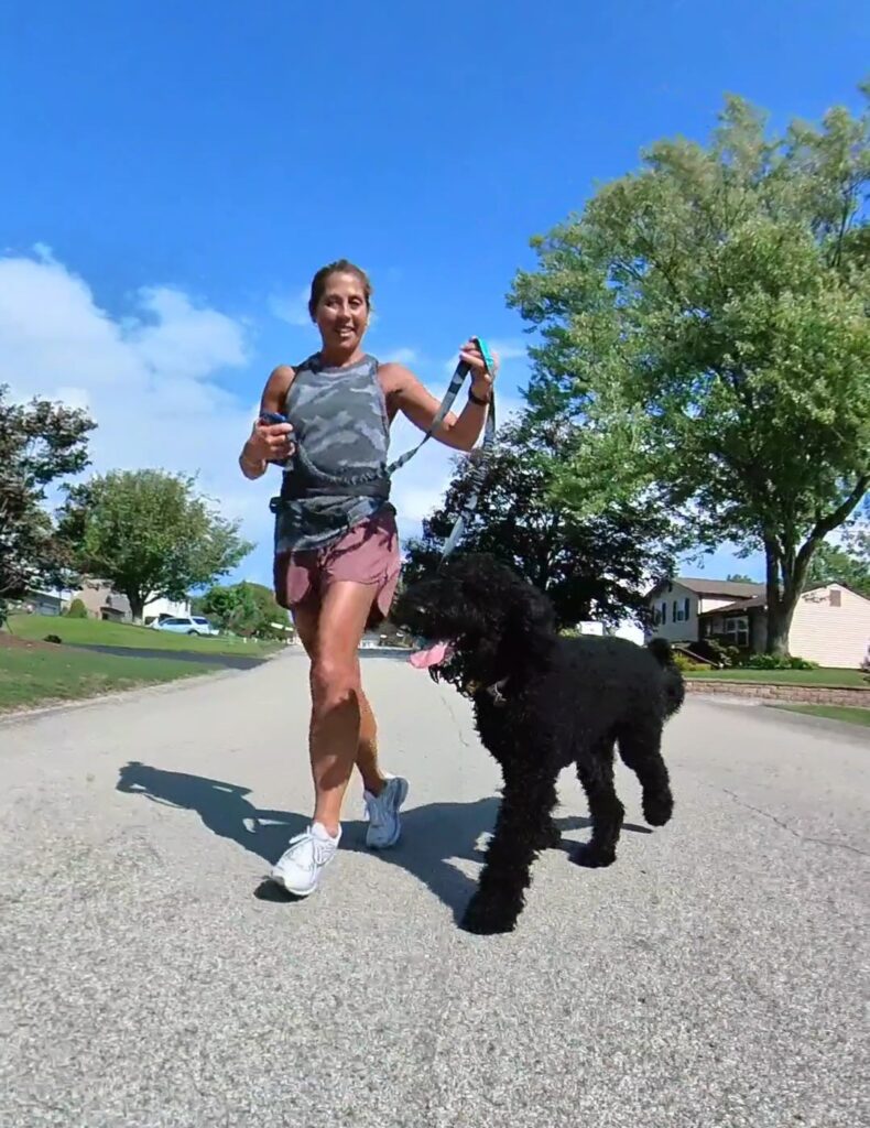 Happy Dog Running Co. - Become a Dog Runner and Earn Money